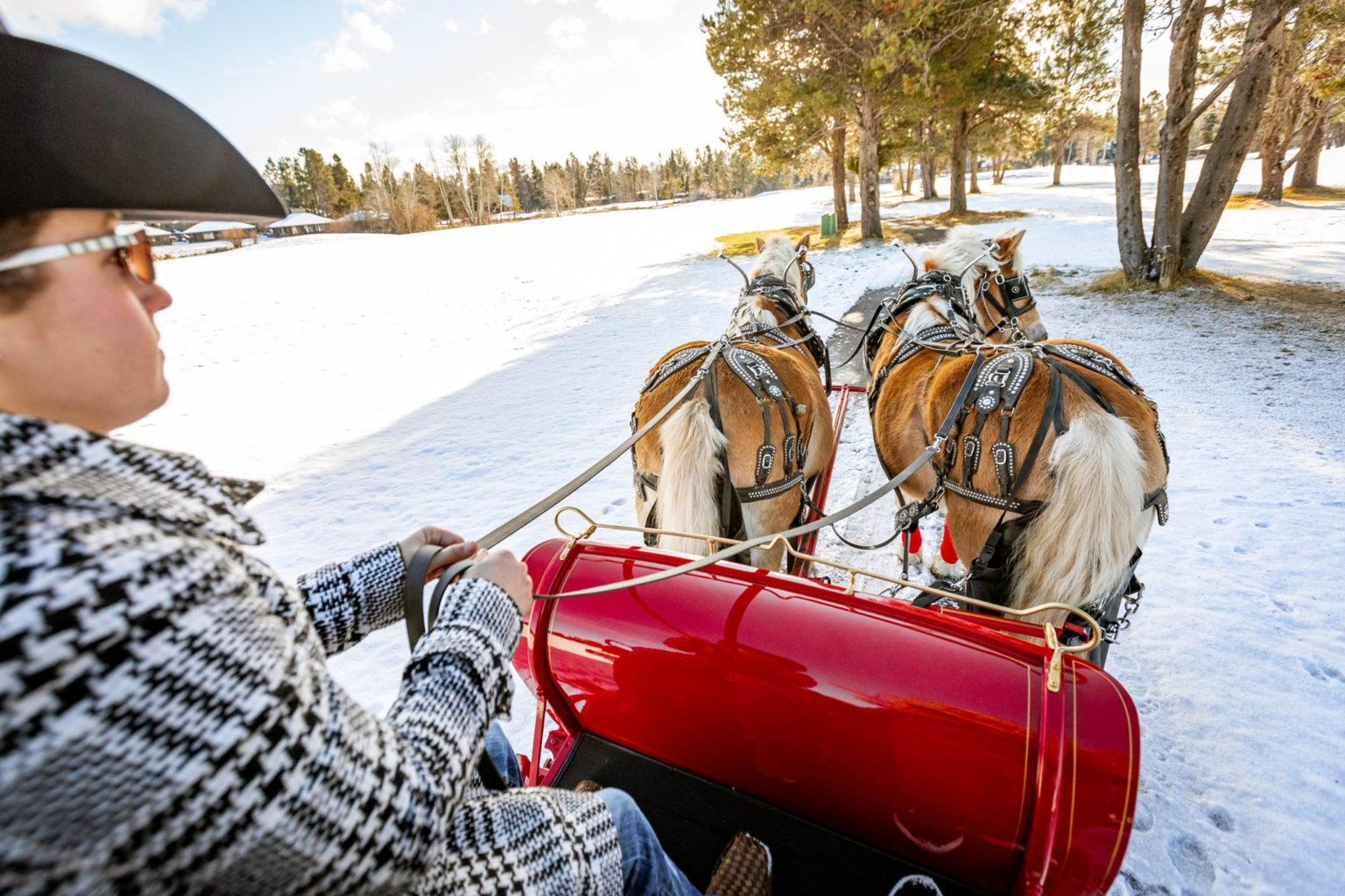 Take a Real Horse-Drawn Sleigh Ride Though Oregon's Winter Wonderland