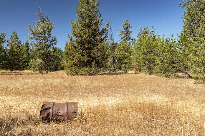 Maxville: The Oregon Ghost Town That Flouted Jim Crow
