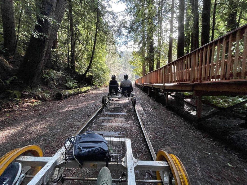 Ride The Rails Through The Majestic Redwood Forest in California