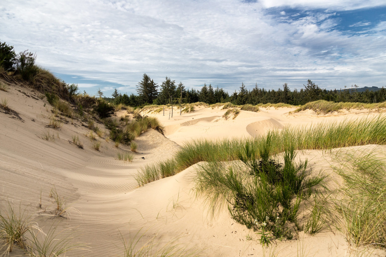 The Singing Sands Of Oregon Is A Strange Phenomenon You Need To Hear To