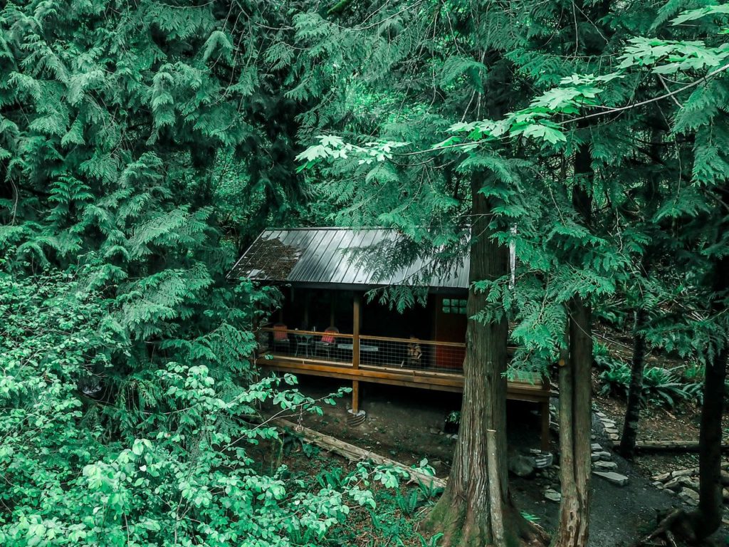 Stay The Weekend At One Of Oregon's Most Gorgeous Secluded Cabins