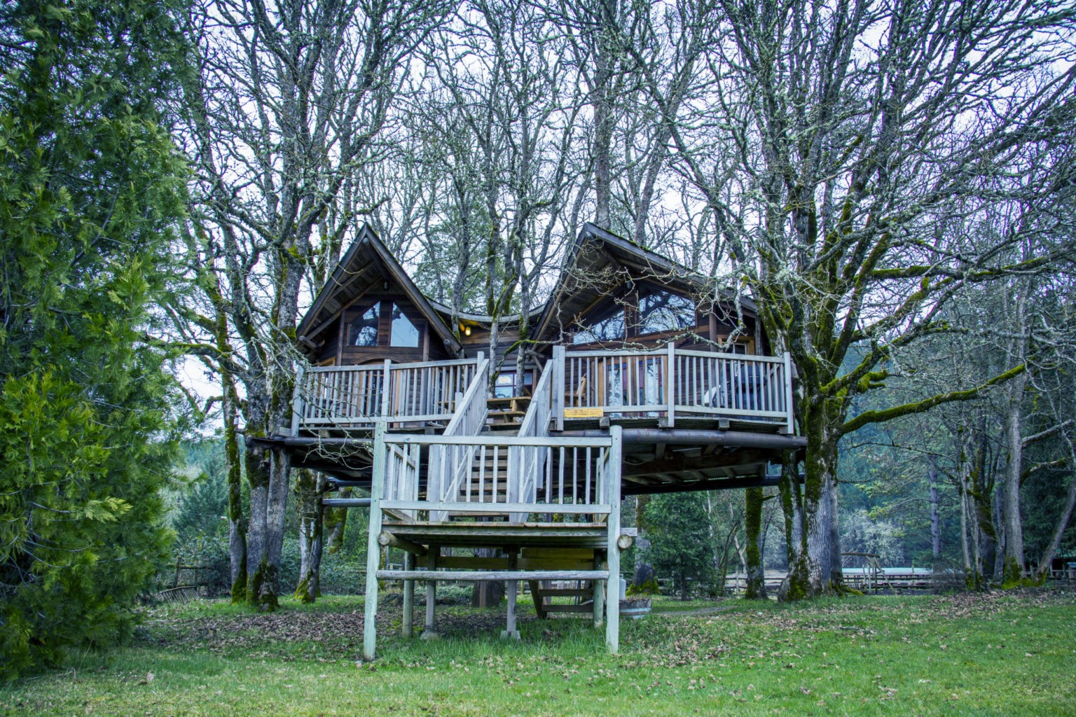 Stay A Night At Out'n'About Treesort In Oregon