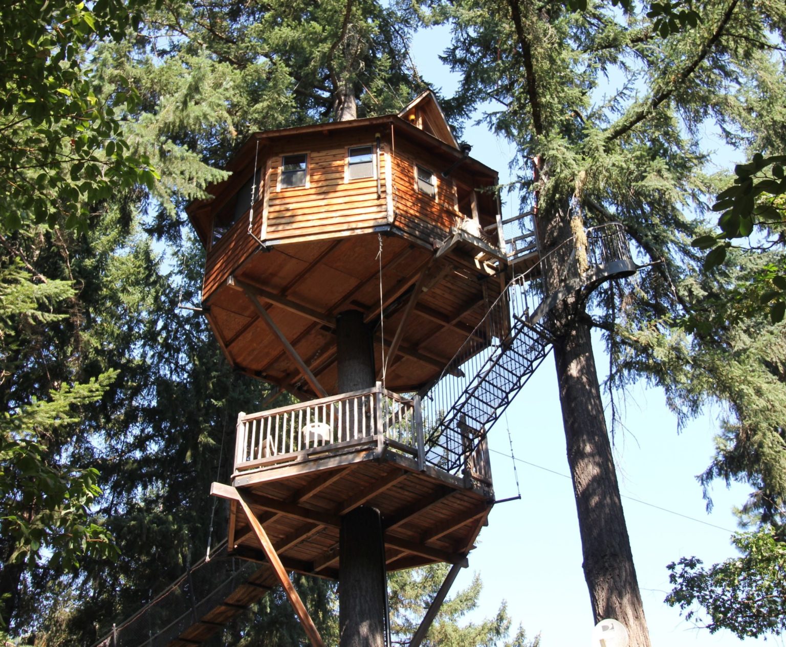 Stay A Night At Out'n'About Treesort In Oregon