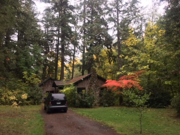 This Creekside Cabin Near Eugene Oregon Boasts A Gorgeous Woodland Hot Tub