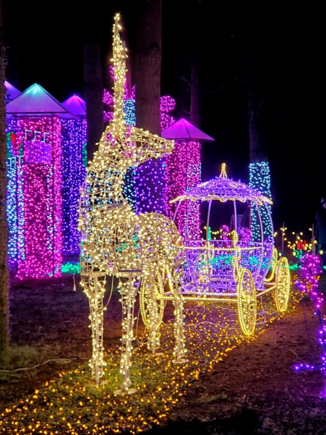 9 Magical Places To See Christmas Lights In Oregon In 2023
