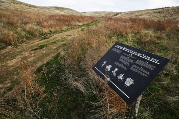 The Most Awesomely Epic Oregon Trail Road Trip You'll Ever Take