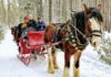 Romantic Sleigh Rides In Oregon Are Happening At Odell Lake