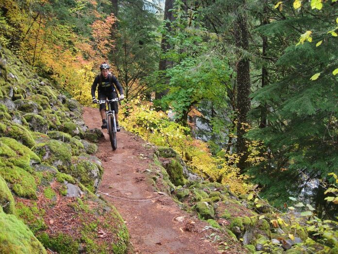McKenzie River Trail: Hiking, Biking, Camping & More 2025