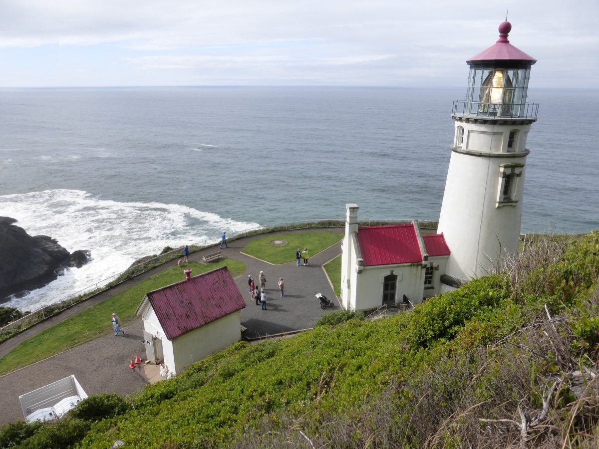 2025 Guide to Whale Watching on the Oregon Coast