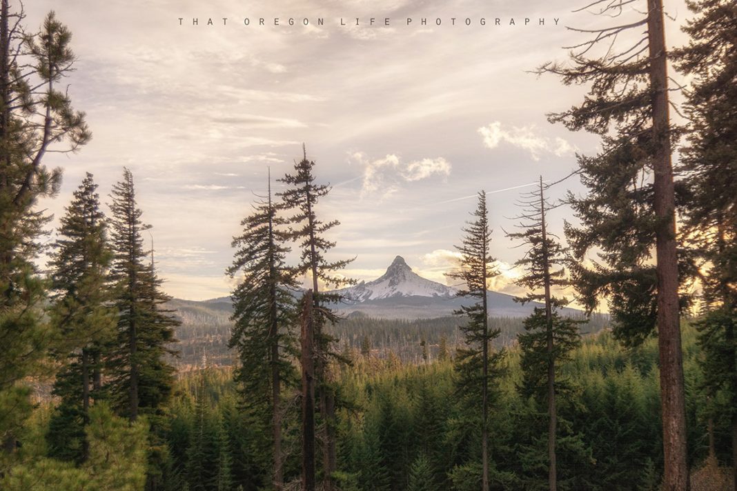 The Ultimate Guide To Exploring Oregon Mountains