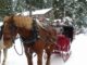 Romantic Sleigh Rides In Oregon Are Happening At Odell Lake