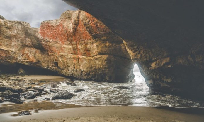 The Best Tide Pools on The Oregon Coast & Where to Find Them