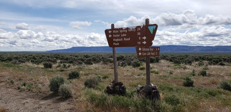Oregon Sunstones: Where To Dig These Gorgeous Gems For Free
