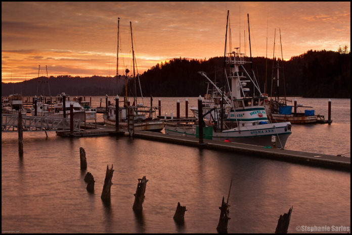 Florence, Oregon: A Travel Guide For Unique Things To Do