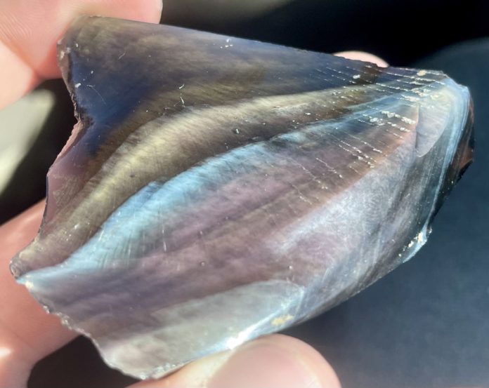 Oregon is a Rockhounding Paradise: All the Best Public Sites Are Right Here