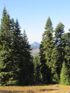 Hike To Pilot Rock In The Gorgeous Cascade-Siskiyou National Monument