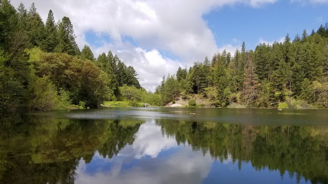 The Best Camping in Oregon: Our Top 50 Places for Rest and Relaxation