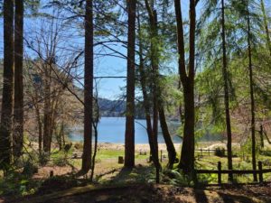 The Best Camping in Oregon: Our Top 50 Places for Rest and Relaxation