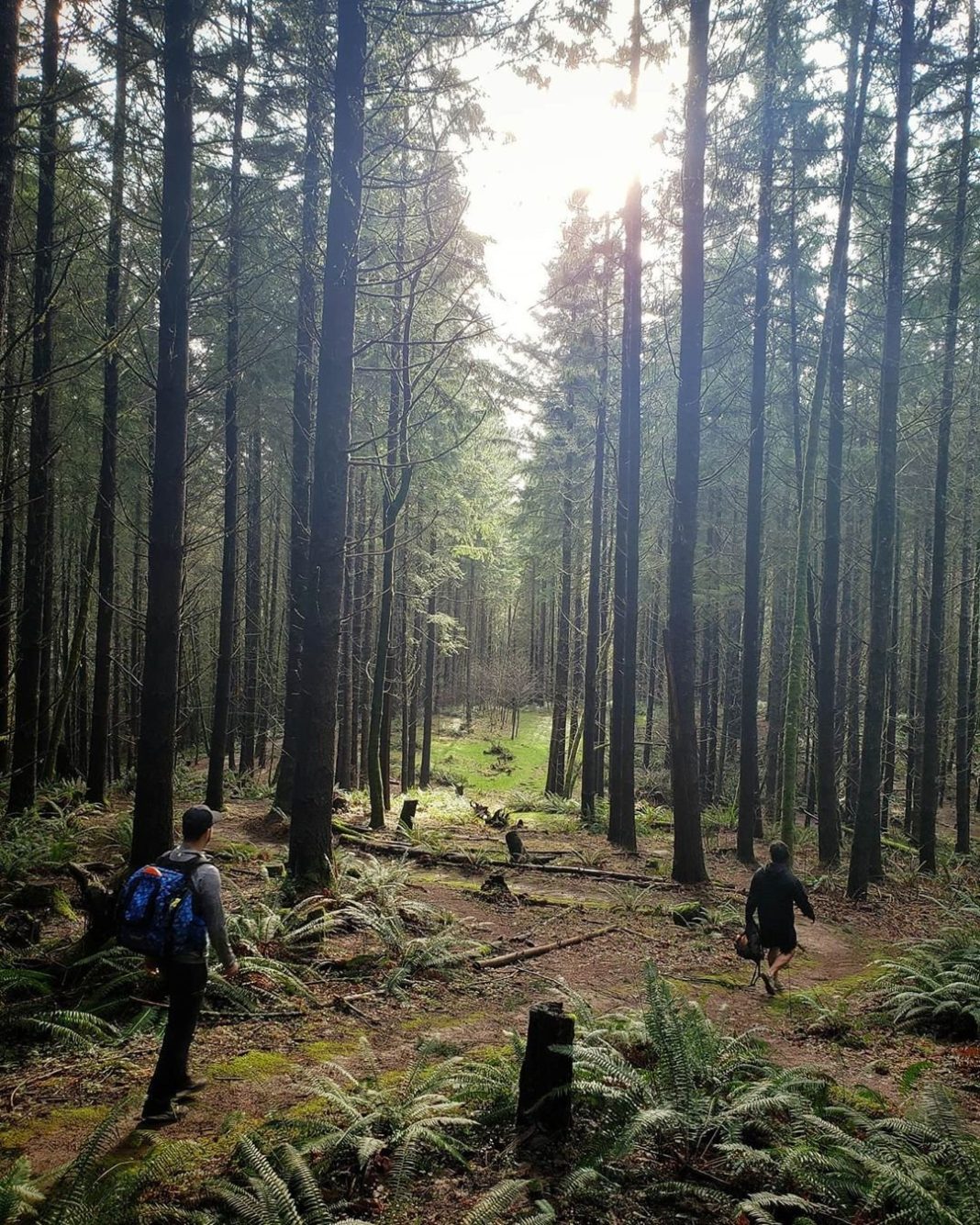 The Best Camping in Oregon: Our Top 50 Places for Rest and Relaxation