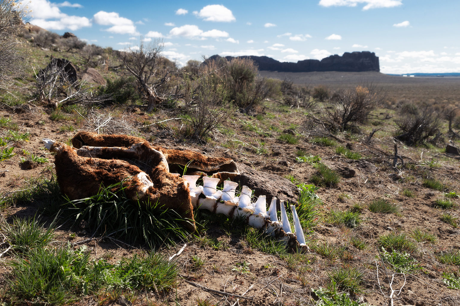 Explore Oregon's Amazing and Ancient Fort Rock Cave With Us