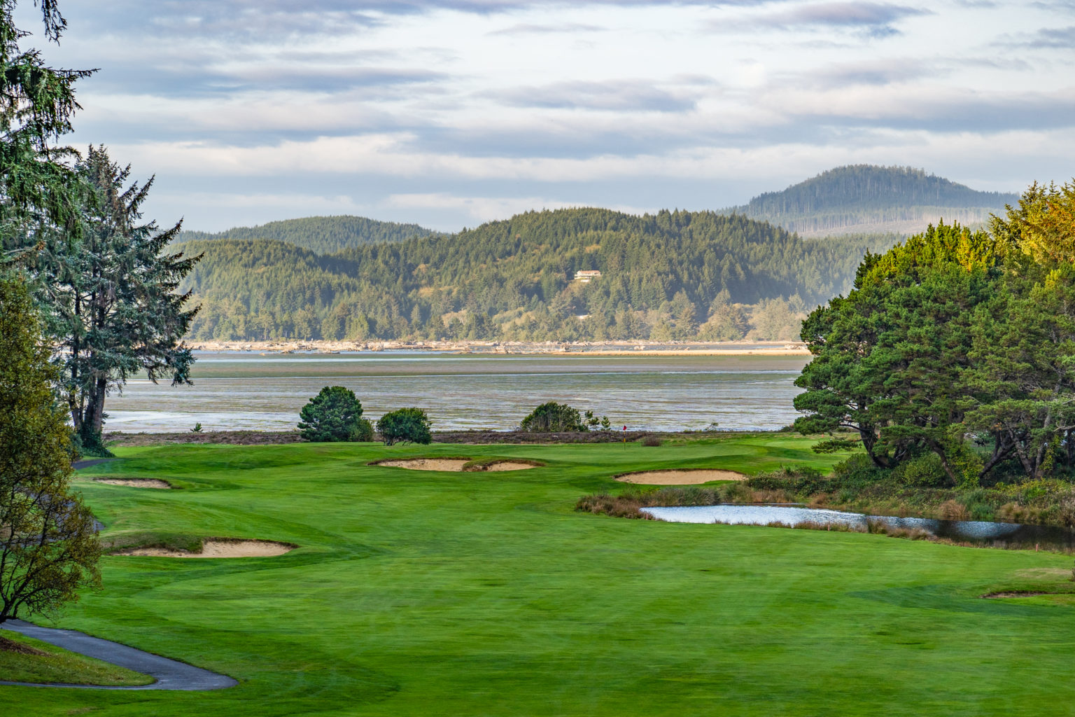 Mass Reports of Orca Sightings on the Oregon Coast