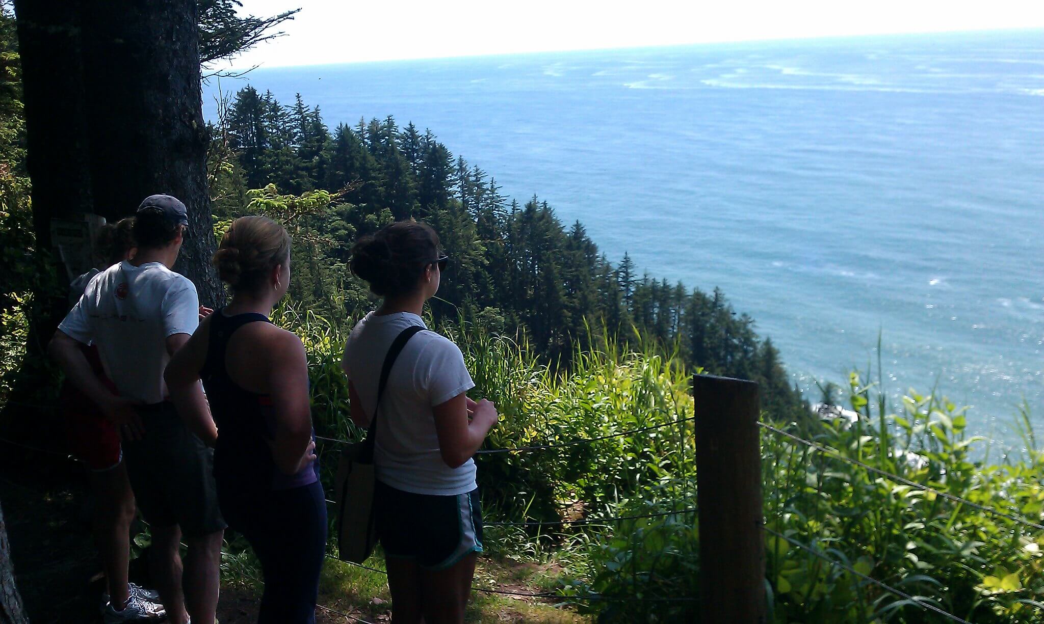 The Three Capes Scenic Route - The Road You'll Never Want to Leave