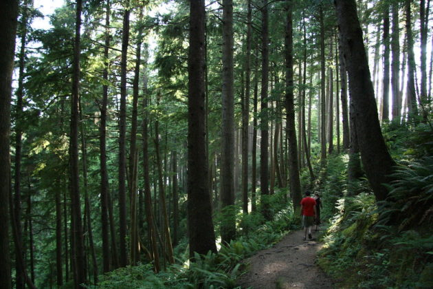 Hiking Guide To Short Sand Beach In Oregon