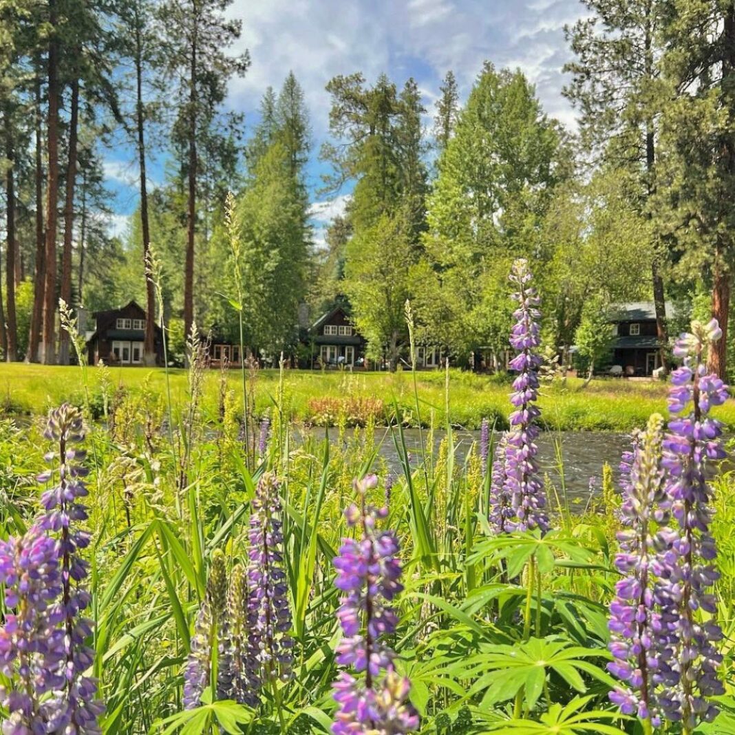 These Luxury Cabins On The Metolius River Are Perfect For A Weekend Getaway