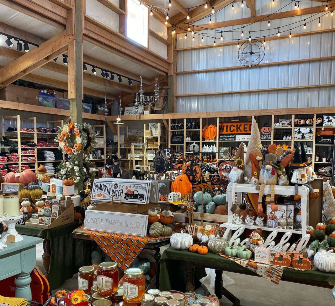 This Adorable Fall Store And Pumpkin Patch In Wilsonville Is Now Open