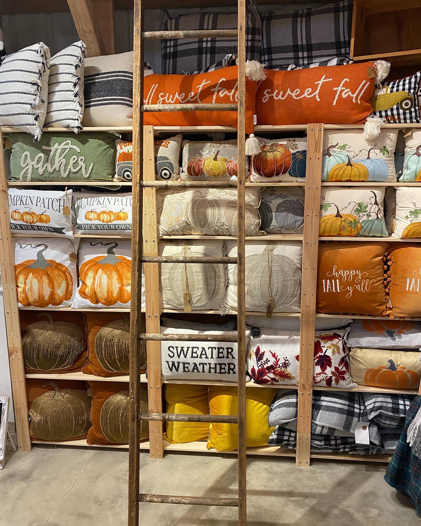 This Adorable Fall Store And Pumpkin Patch In Wilsonville Is Now Open