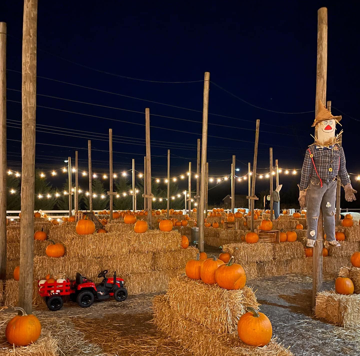 This Charming Pumpkin Patch In Oregon Doubles As A Country Store ...