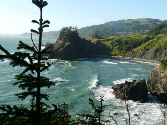 Your Guide To Brookings Oregon - Fun Things To Do, Where To Eat, And More