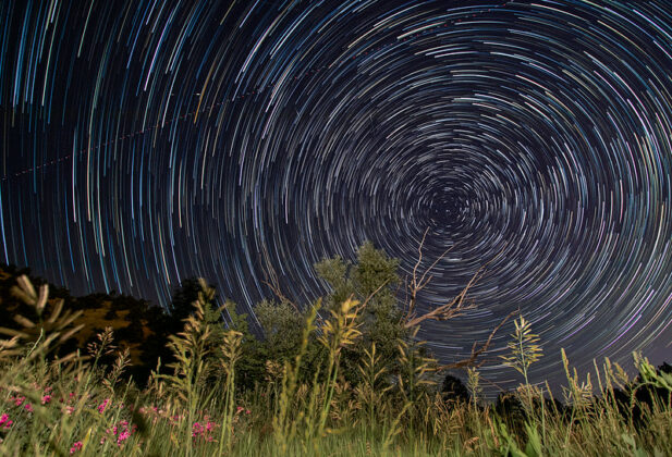 LOOK UP: See The Best Stargazing Spectacle Above Oregon This December
