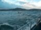 New Pod Of Orca Whales Spotted On Oregon Coast