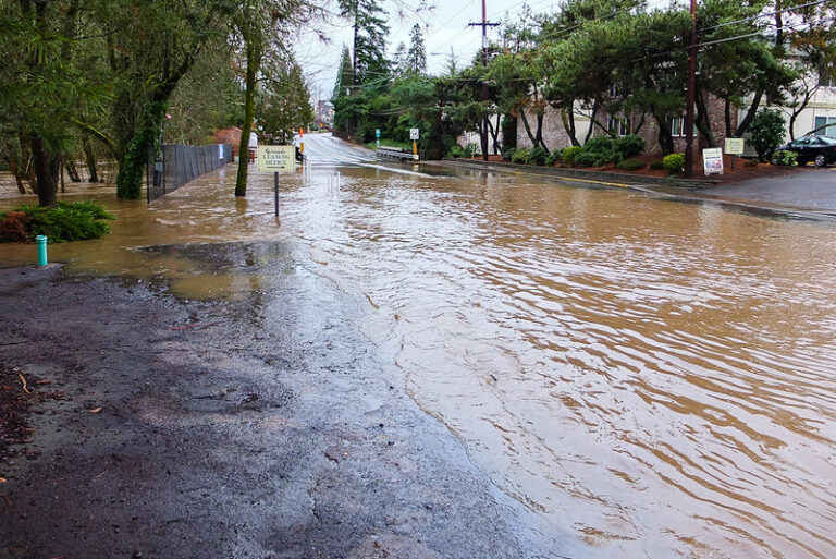 Megastorms Headed for the Northwest, According to Scientists