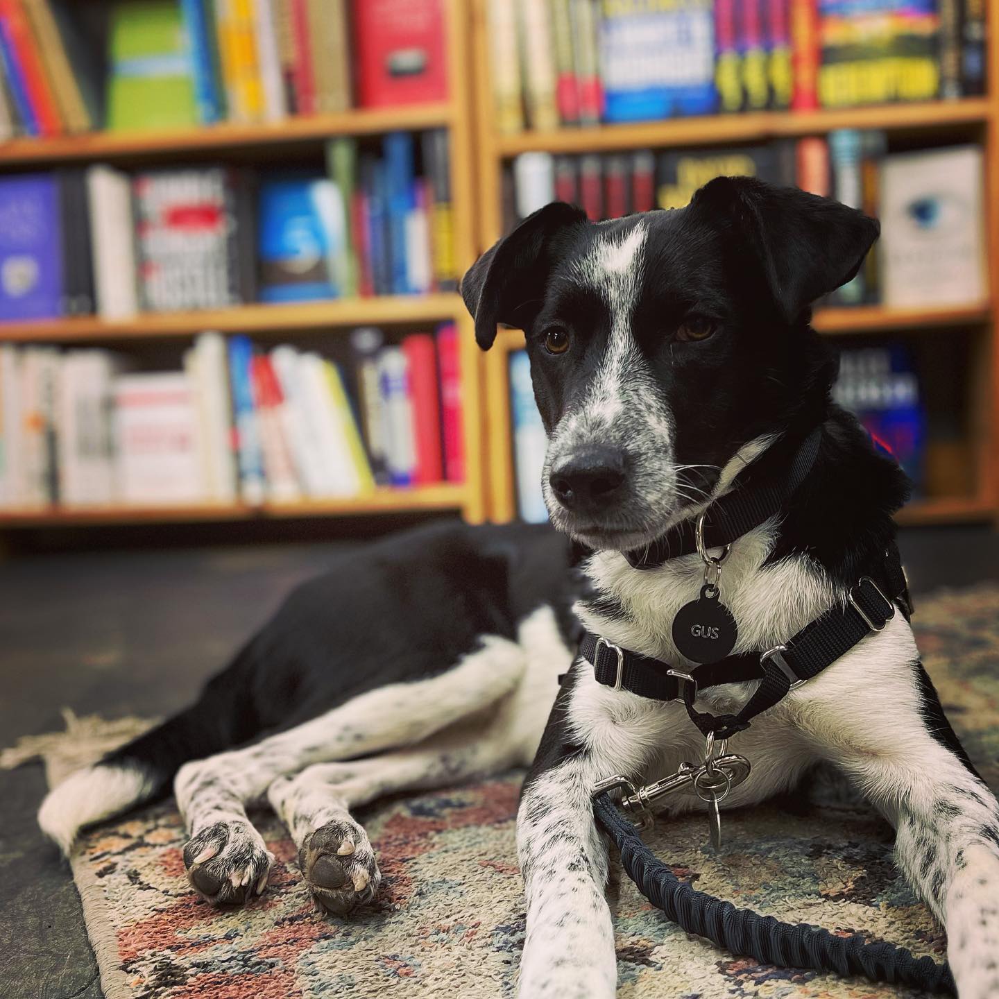 The Largest Bookstore In Central Oregon Is Every Book Nerd’s Paradise