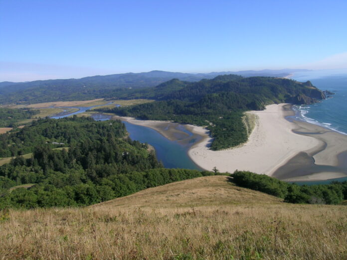The Most Dramatic Coastal Hikes In Oregon You’ll Never Forget