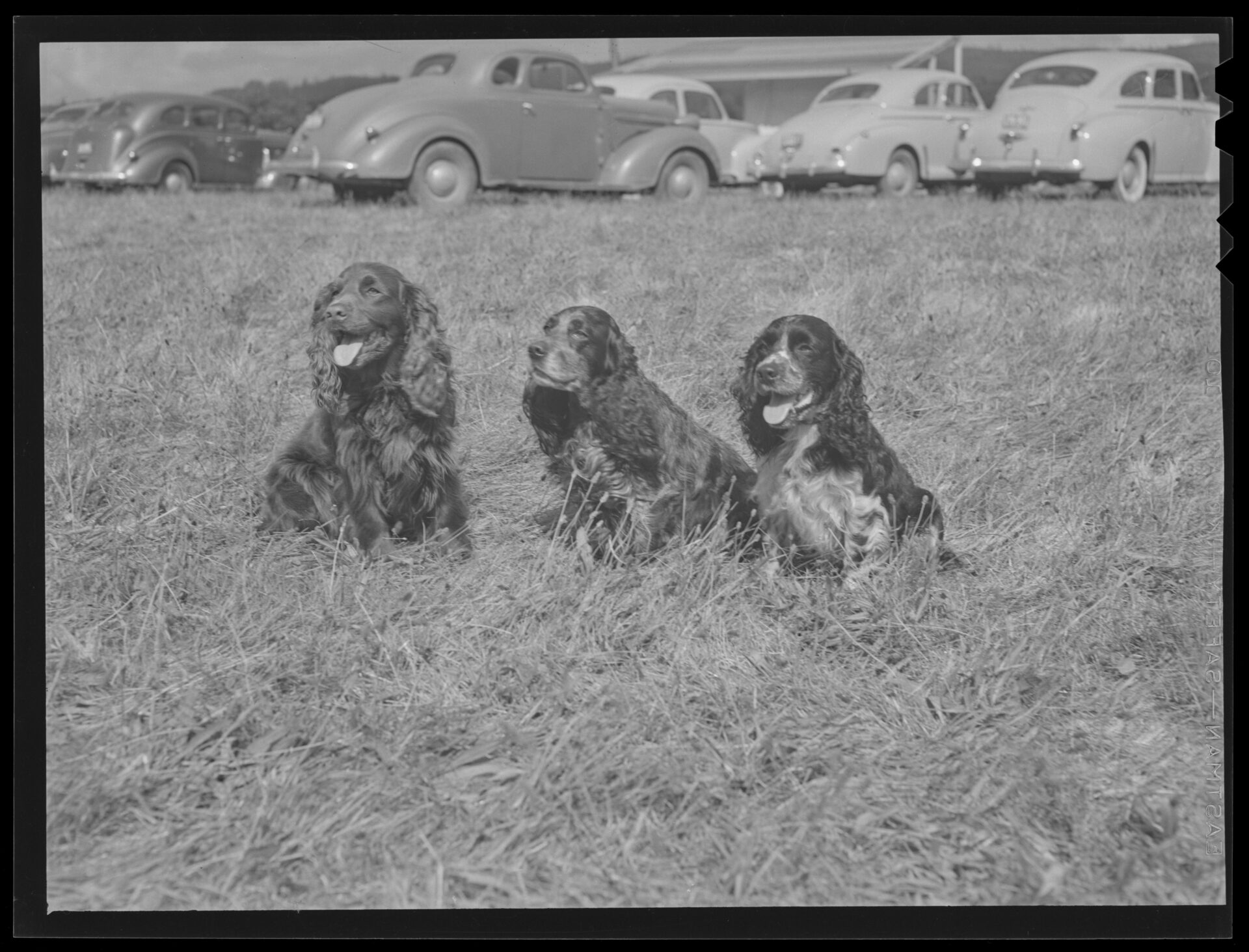 49 Extraordinary Photos of What Oregon Life Was Like During World War II
