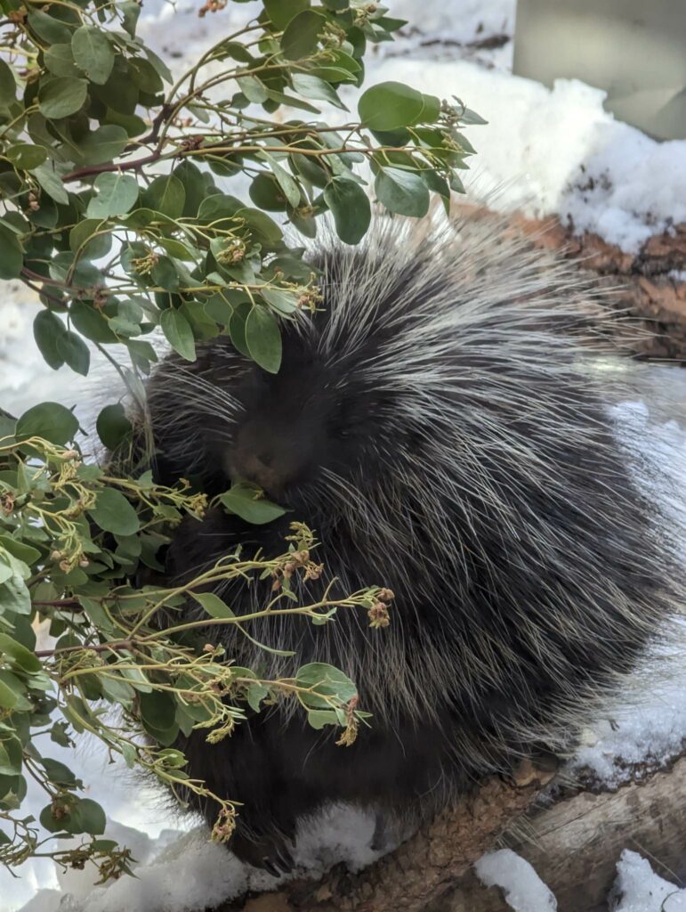 New Native American Cultural Exhibit Featured At Oregon's High Desert ...
