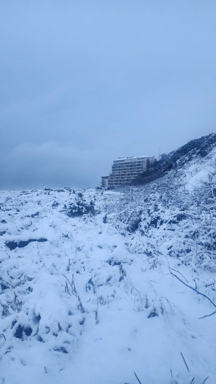 📸 Photos: A Rare Snow Day On The Oregon Coast