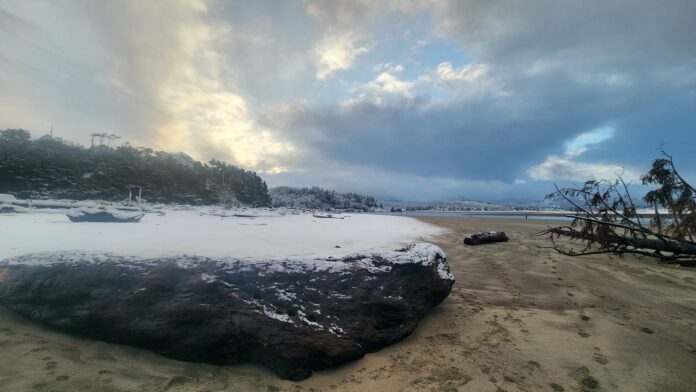 📸 Photos: A Rare Snow Day On The Oregon Coast