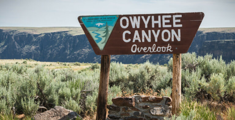 The Owyhee Canyonlands of Oregon are a Geologic Masterpiece