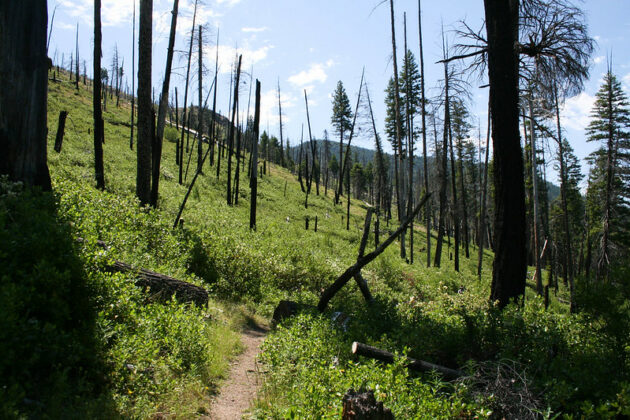 This Gorgeous Day Hike In Eastern Oregon Leads To A Dramatic Natural Wonder