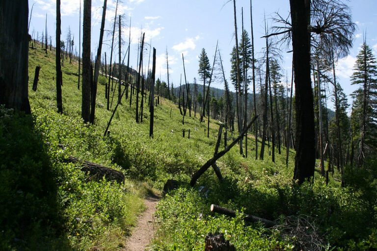 This Gorgeous Day Hike In Eastern Oregon Leads To A Dramatic Natural Wonder