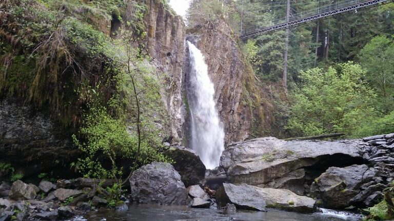 Walking on Air: Hiking the Suspended Bridge at Drift Creek Falls, Oregon