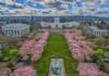 Travel Site Ranks 2 Oregon Cities Among the Top Spots to See Cherry ...