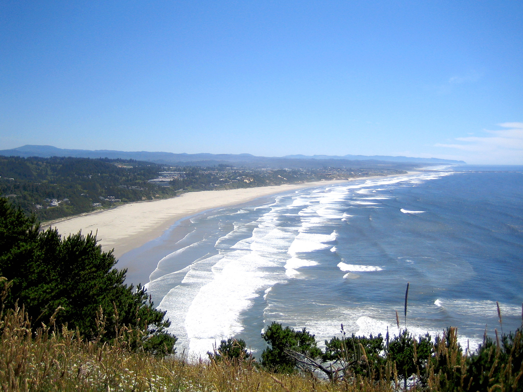 Agate Hunting 101: A Beach Guide to Finding Oregon's Best Hidden Gemstones