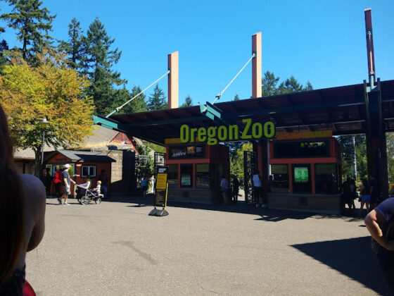 Oregon's Top 12 Zoos and Aquariums: Uncover the Wonders of Wildlife