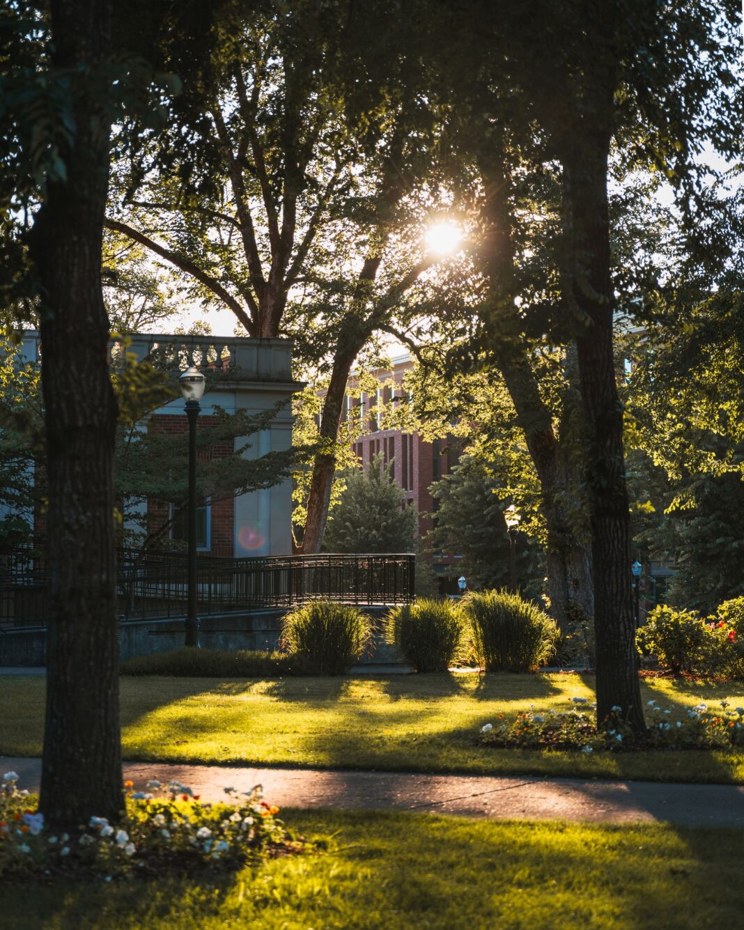 Oregon Universities: A Wealth Of Educational Choice