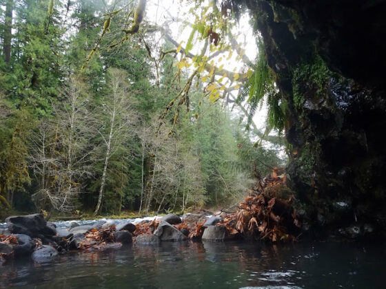 Oregon Hot Springs: Nature's Soothing Remedies for Mind, Body, and Soul
